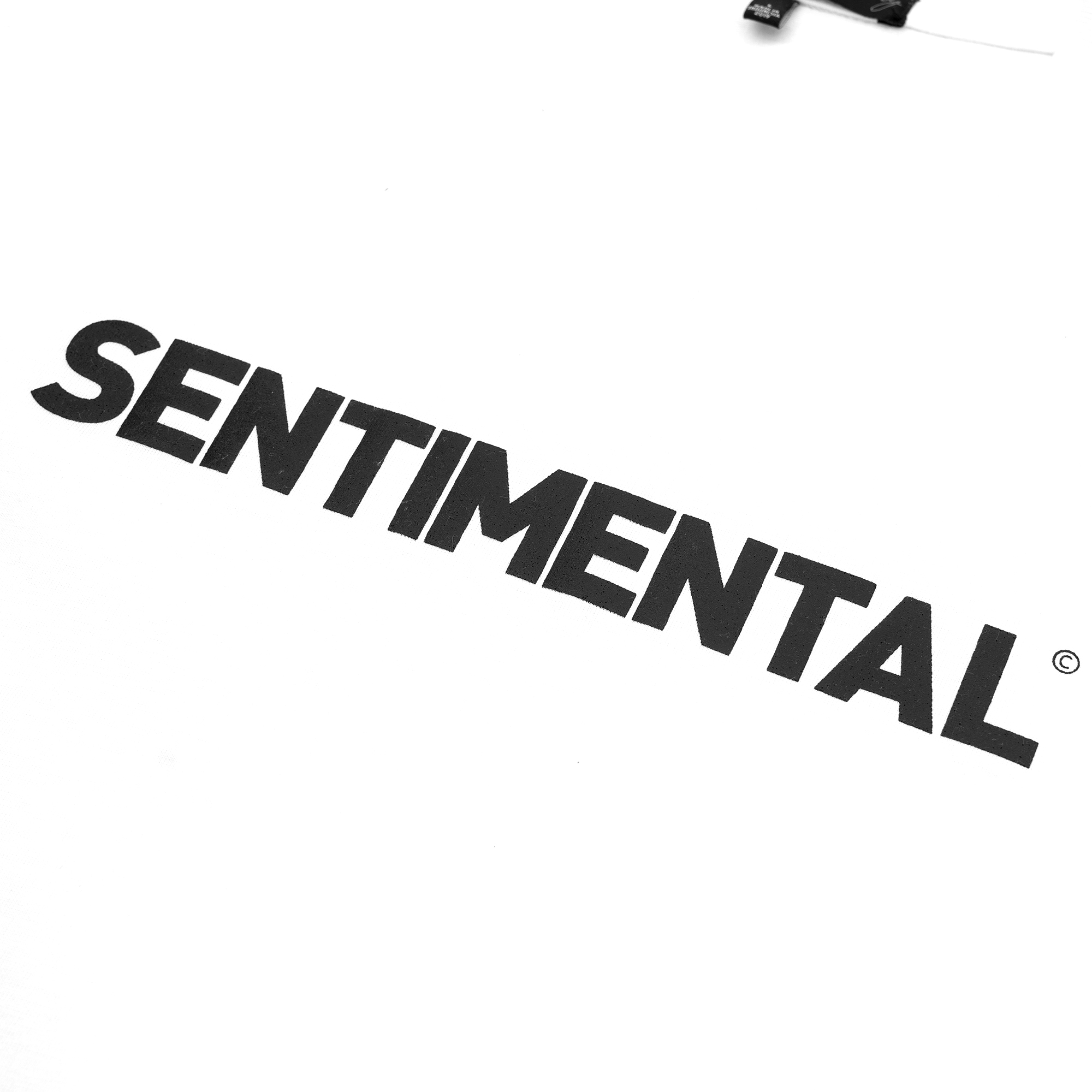 Basic Logo White Heavyweight Tshirt – Super Sentimental Secret Theory