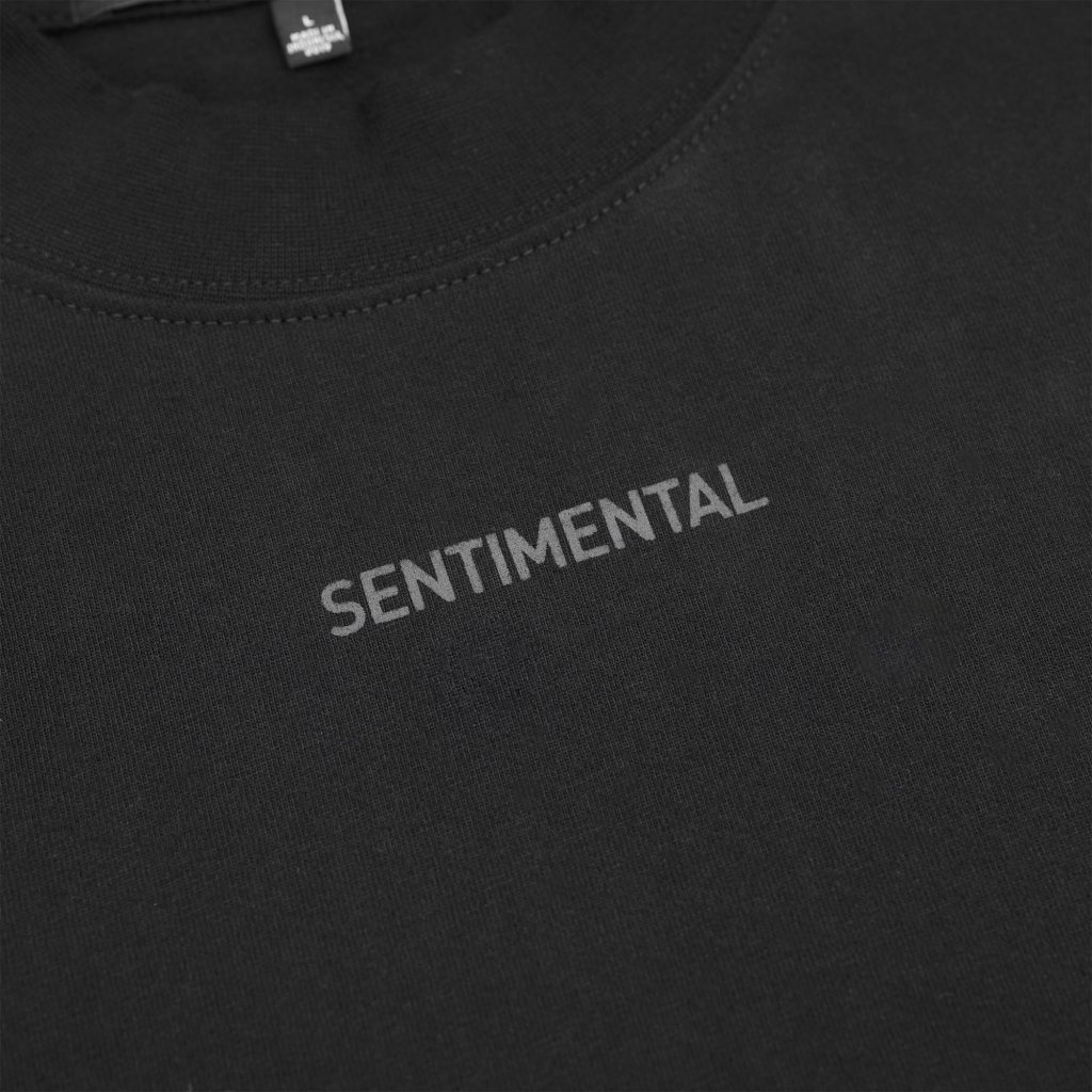 Basic Logo Boxy Black Heavyweight Tshirt – Super Sentimental Secret Theory
