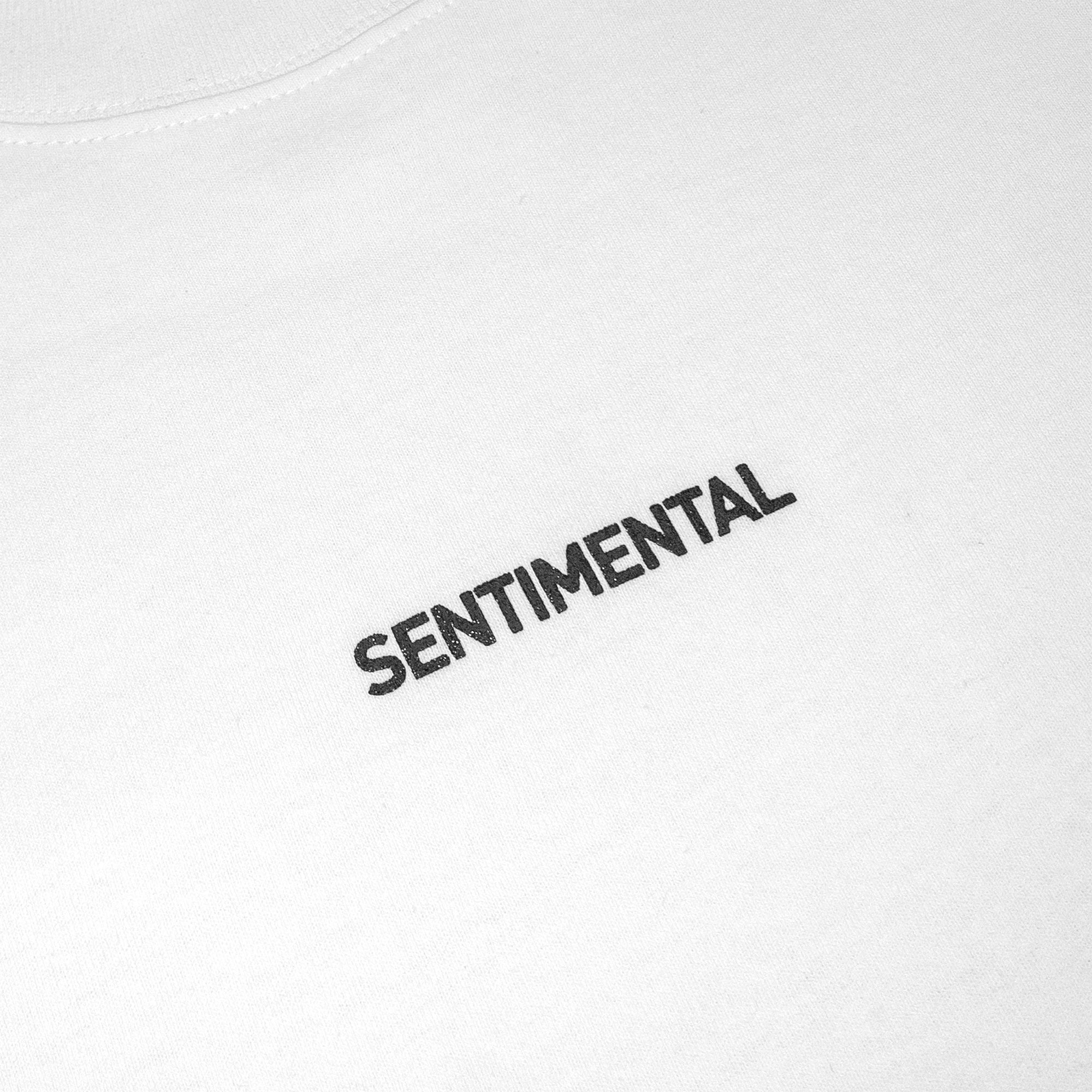 Basic Logo Boxy White Heavyweight Tshirt – Super Sentimental Secret Theory